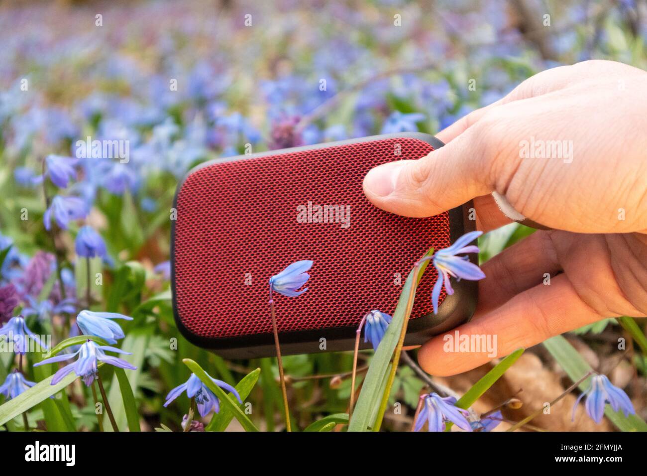 Red and blue flowers hi-res stock photography and images - Alamy