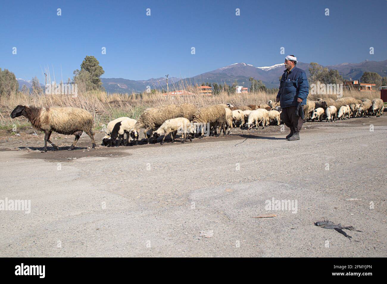 Transhumance culture hi-res stock photography and images - Alamy