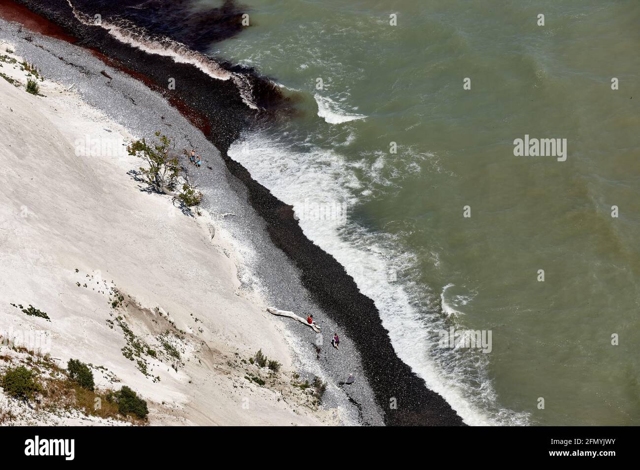 Spectacular white cliffs of Mons Klint on Mon Island in Denmark. Top ...