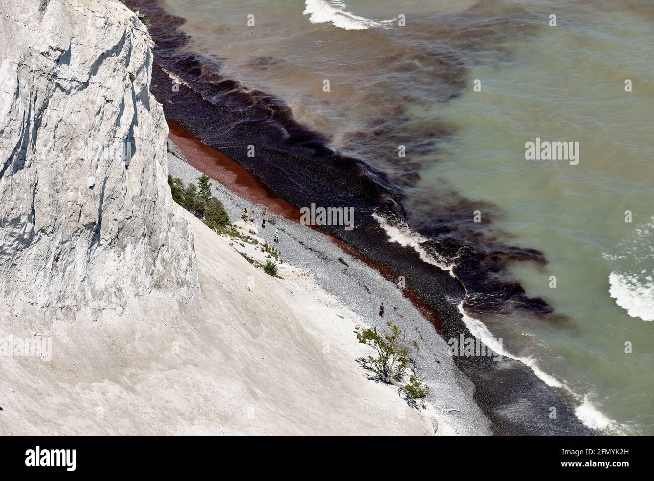 Spectacular white cliffs of Mons Klint on Mon Island in Denmark. Top ...