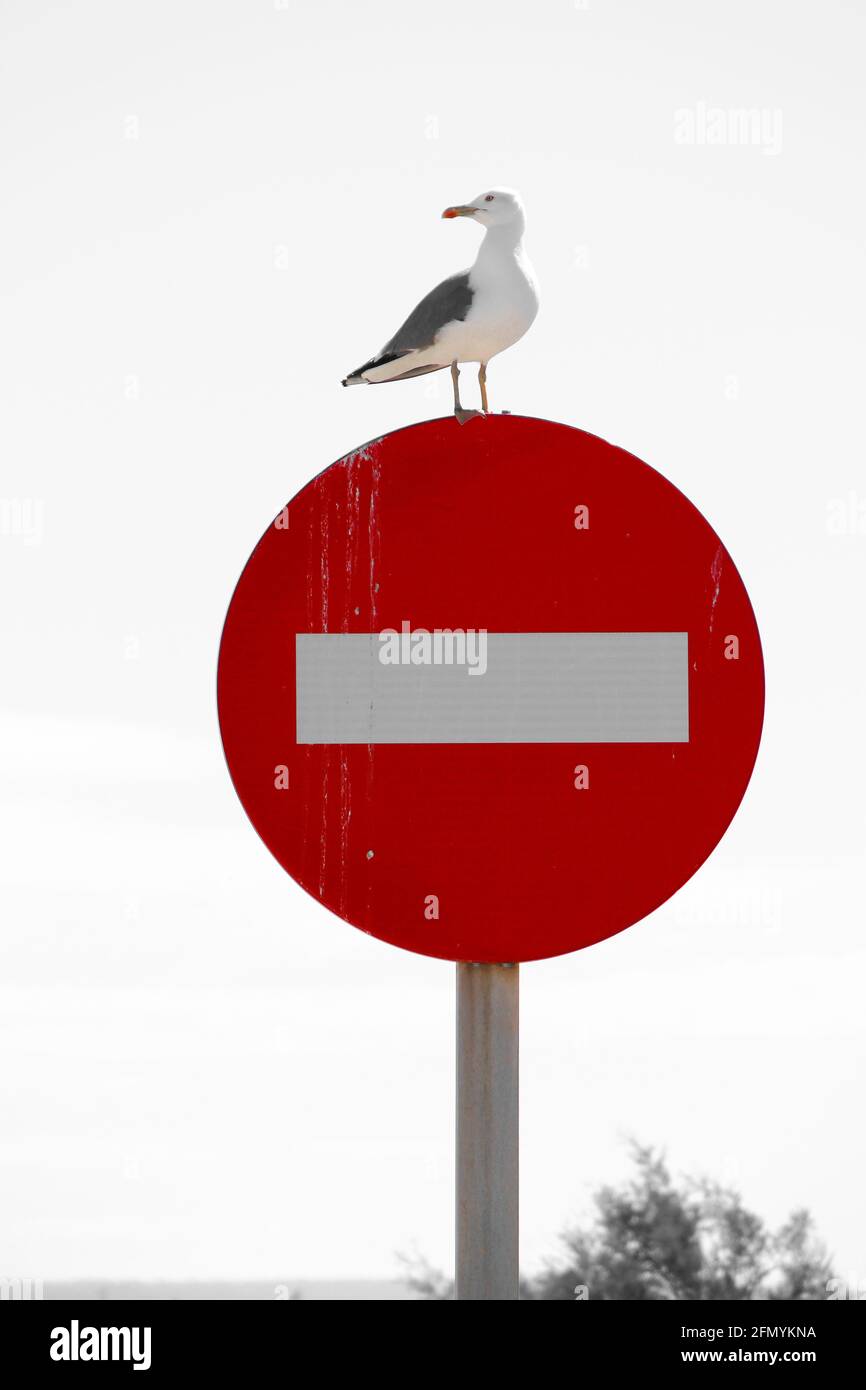 Safety signalization hi-res stock photography and images - Alamy