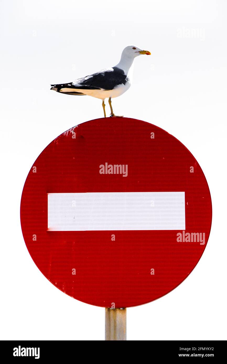 Safety signalization hi-res stock photography and images - Alamy