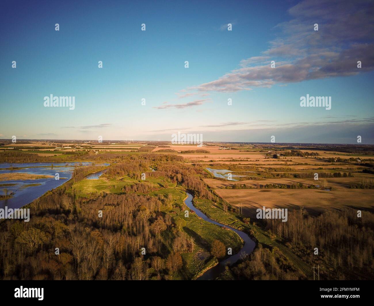 aerial view of trees and wetland waterways in a remote canadian ...
