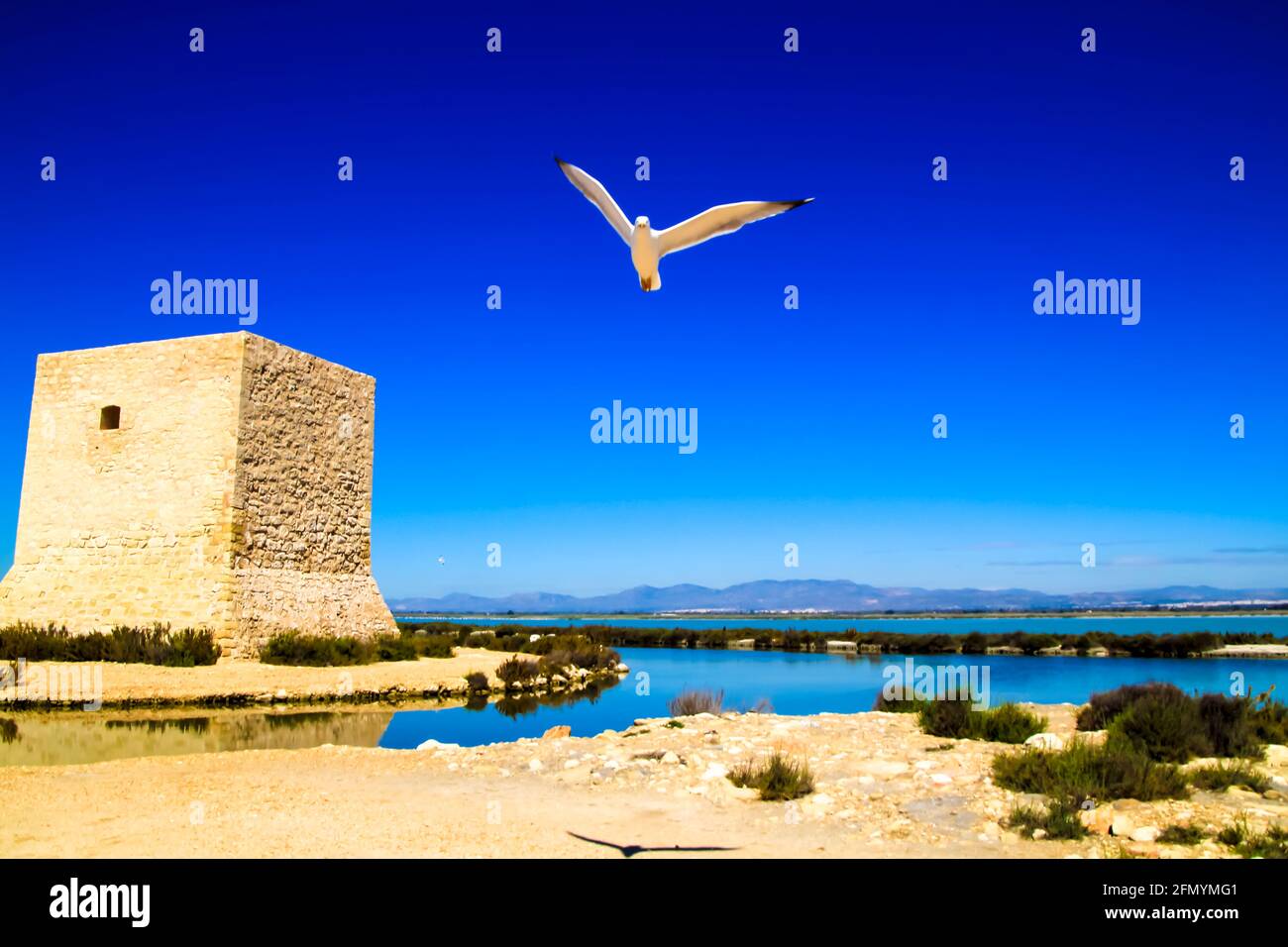 Tamarit tower hi-res stock photography and images - Alamy
