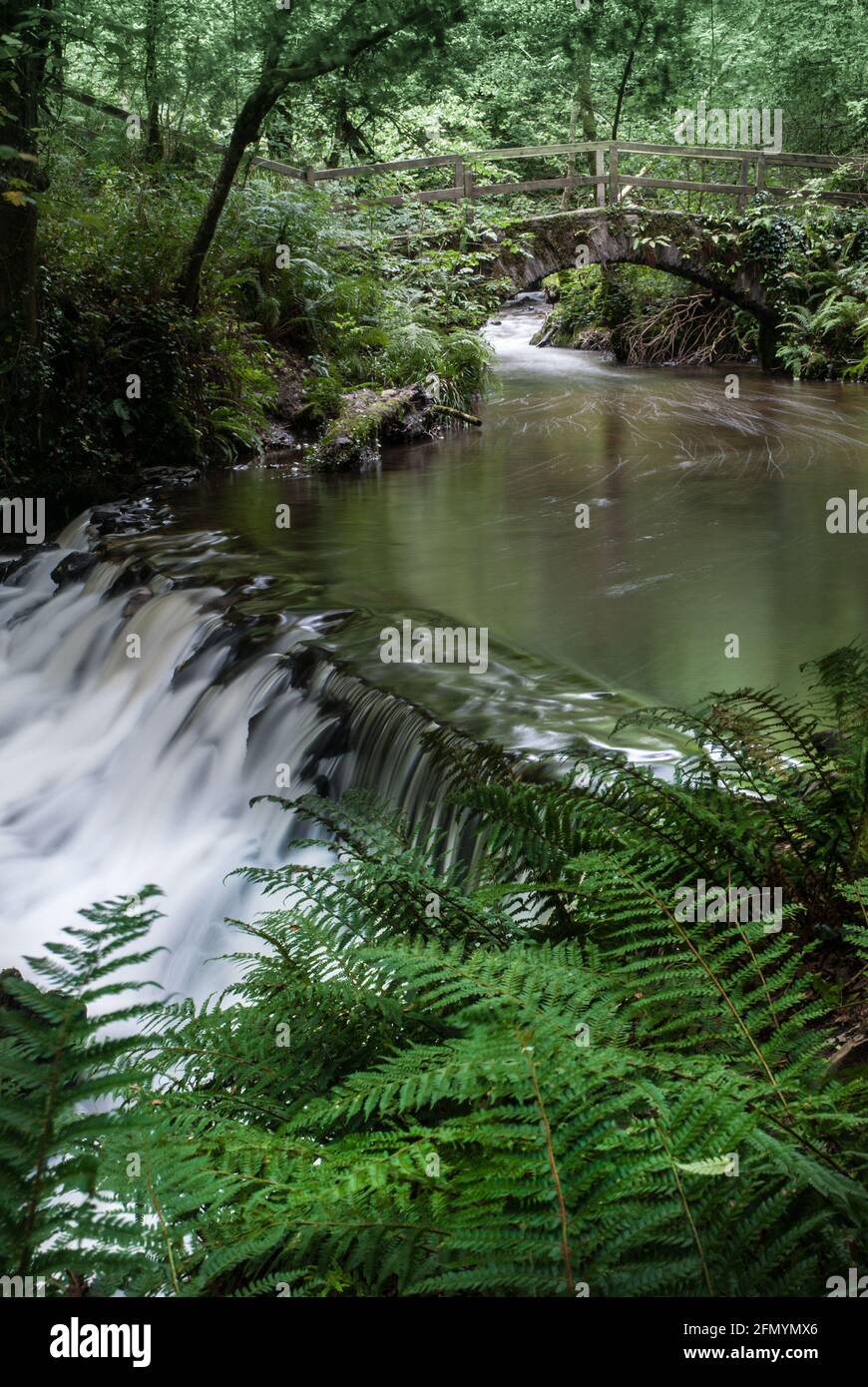 Dun a ri forest park hi-res stock photography and images - Alamy