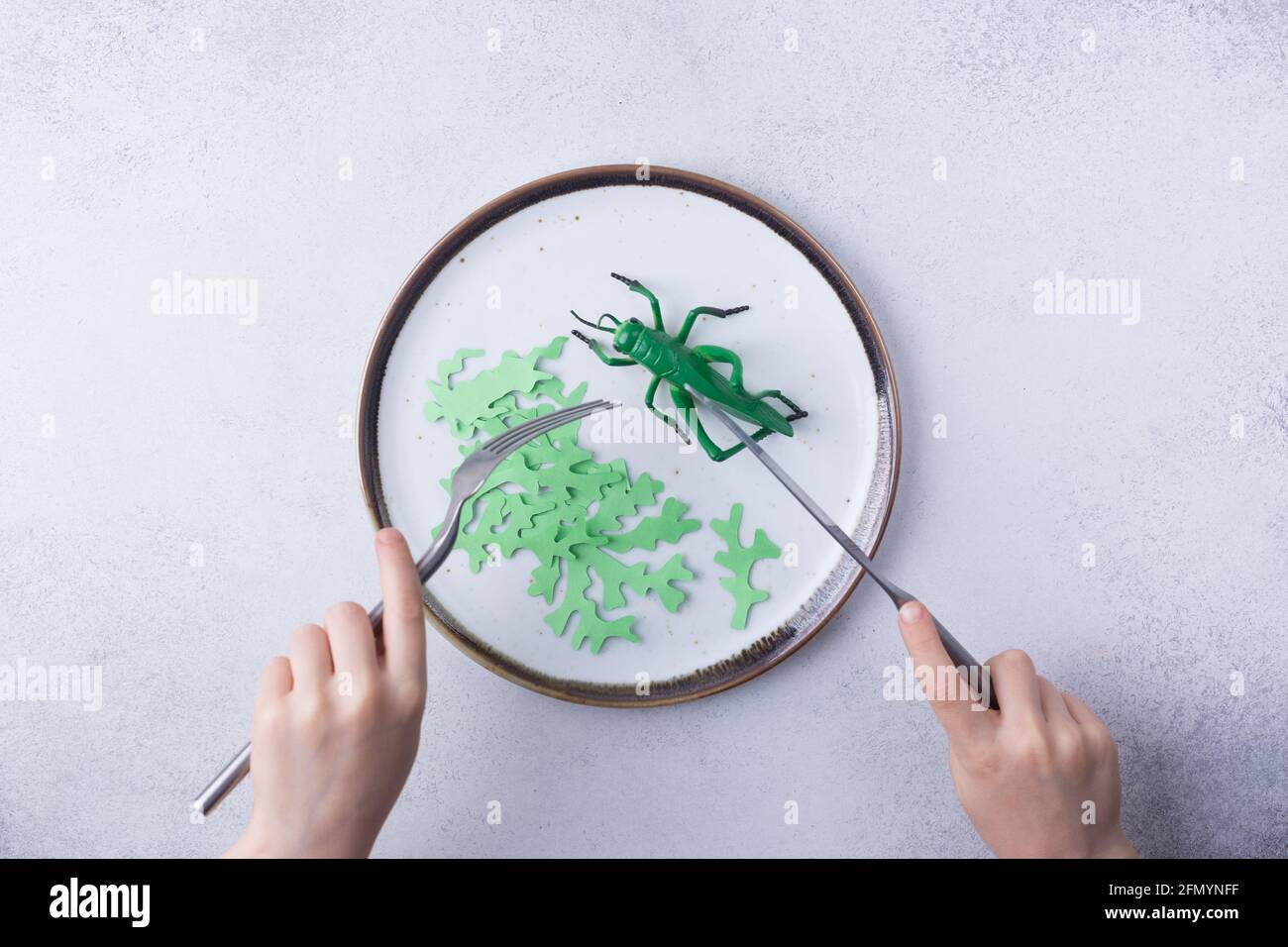 Eating crickets insect and seaweed on plate. Food Insects for eat as ...
