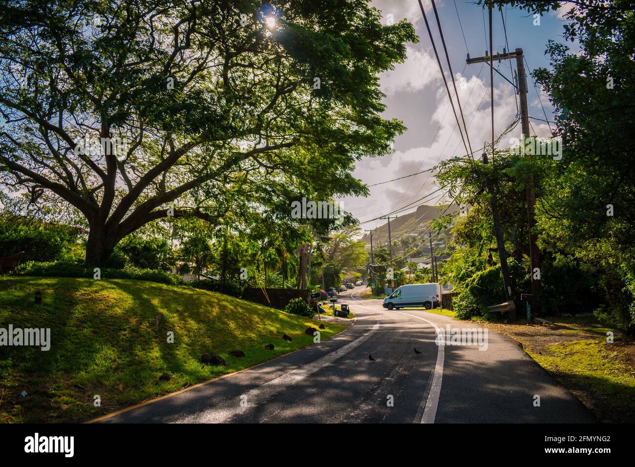 Street view of trees and mountain peak landscape in Hawaii Stock Photo ...