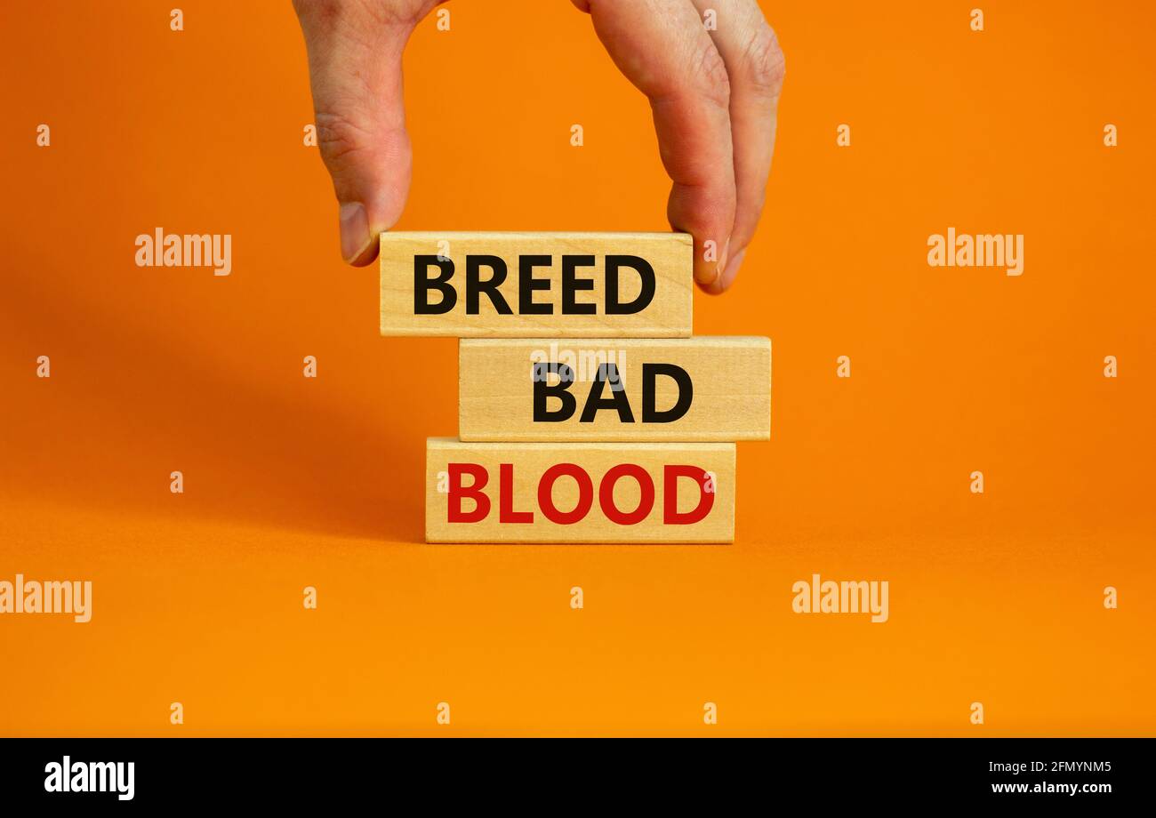 Breed bad blood symbol. Businessman holds wooden block with words ...