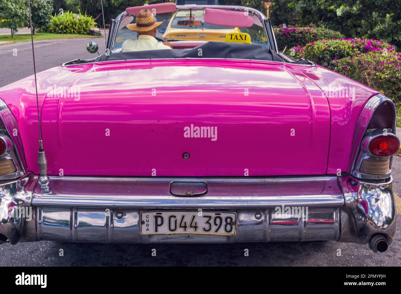 Cuba, February 2016 - Rear view of a pink vintage classic car with ...