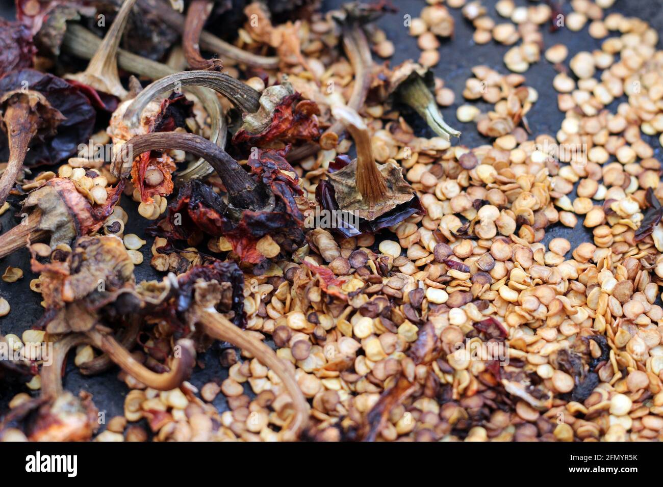 Pasilla hi-res stock photography and images - Alamy
