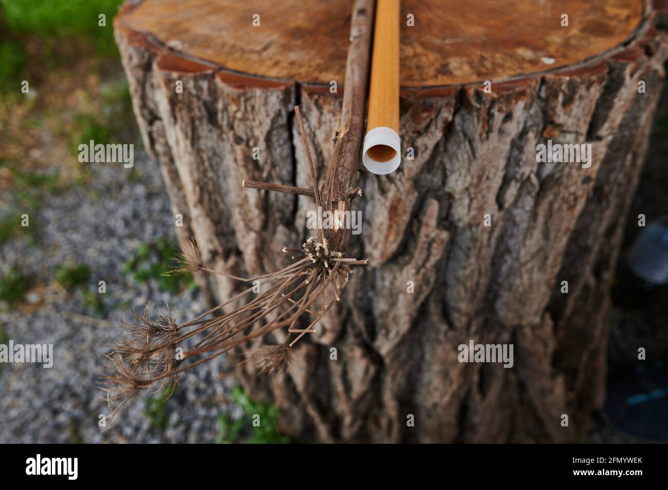 wind musical instrument wooden flute isolated Stock Photo - Alamy