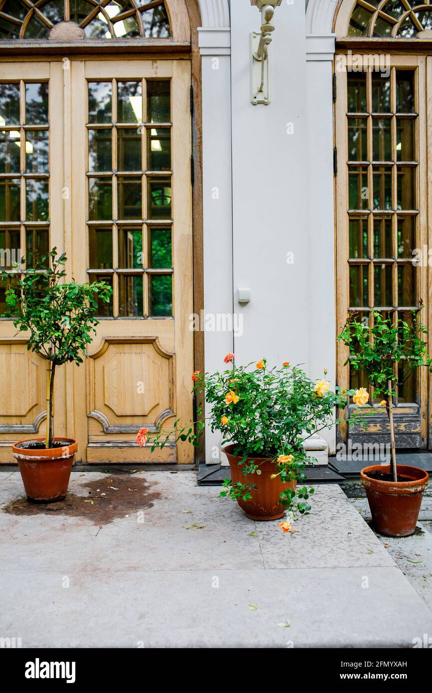 beautiful backyard with flowers. cute house exterior Stock Photo - Alamy