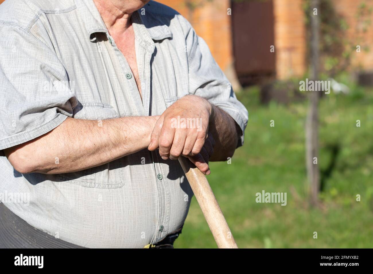 Hands holding a garden tool, farming, gardening, agriculture and people ...