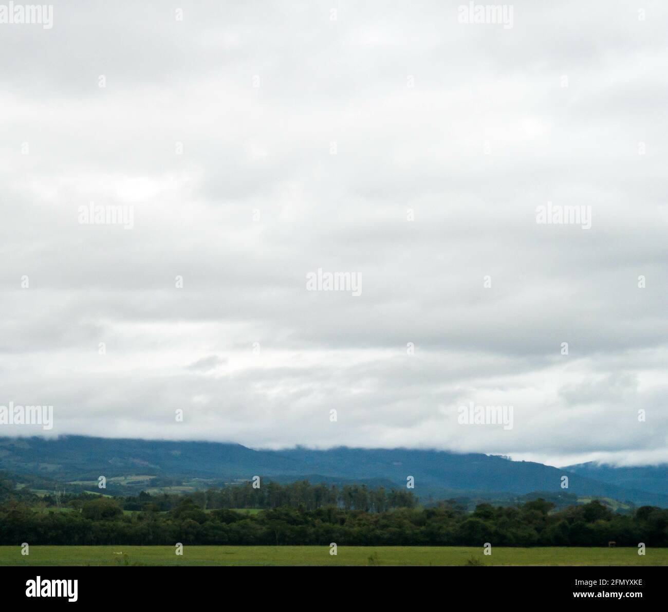 Landscape of a white cloudy sky and a greenfield Stock Photo - Alamy