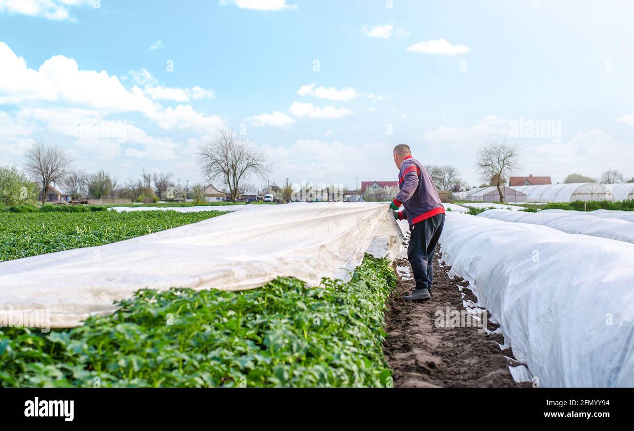 Potato coating hi-res stock photography and images - Alamy