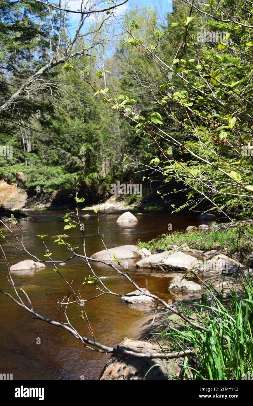 Gentilly river regional park in souther Quebec Stock Photo - Alamy