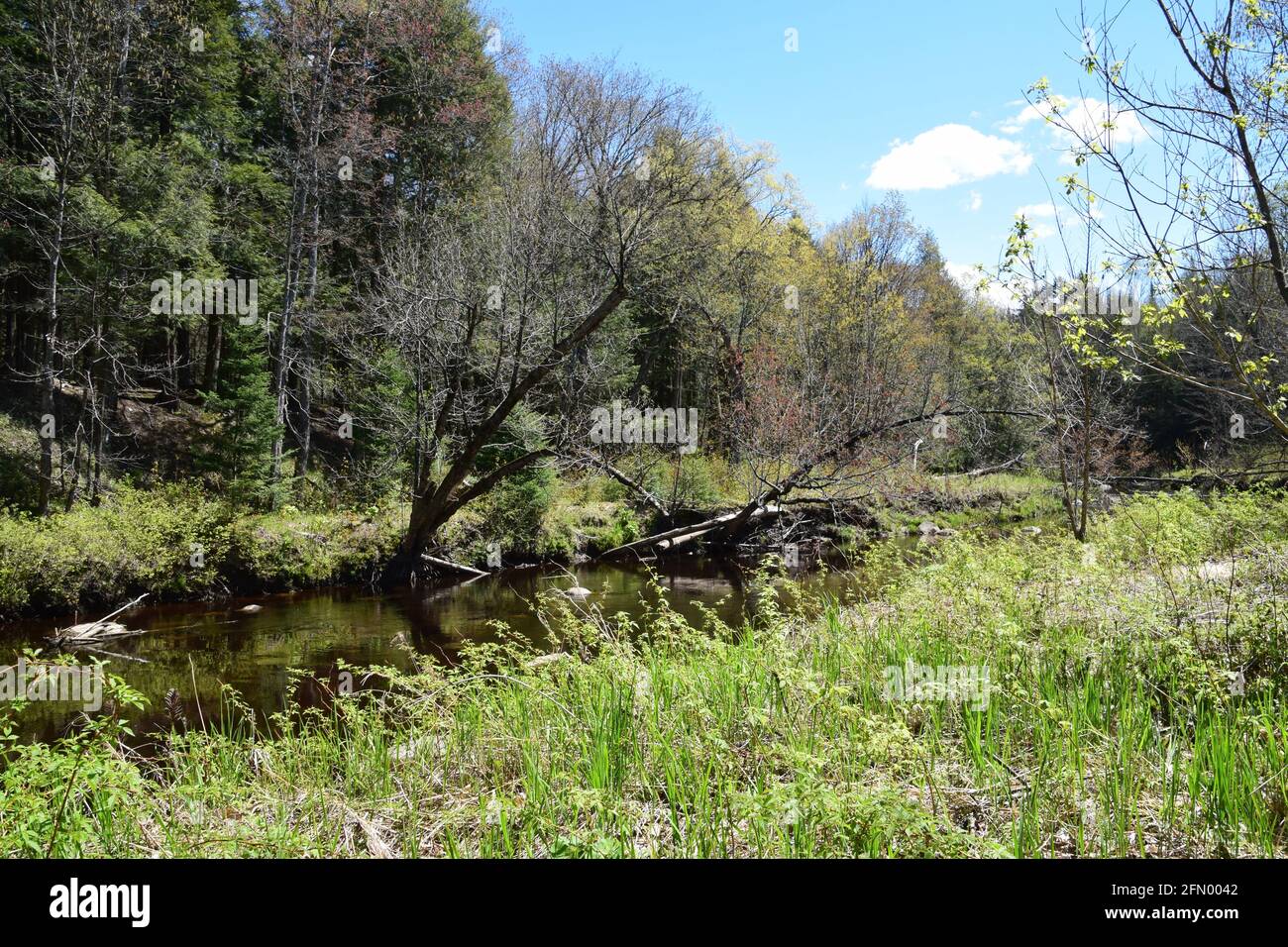 Gentilly river regional park in souther Quebec Stock Photo - Alamy