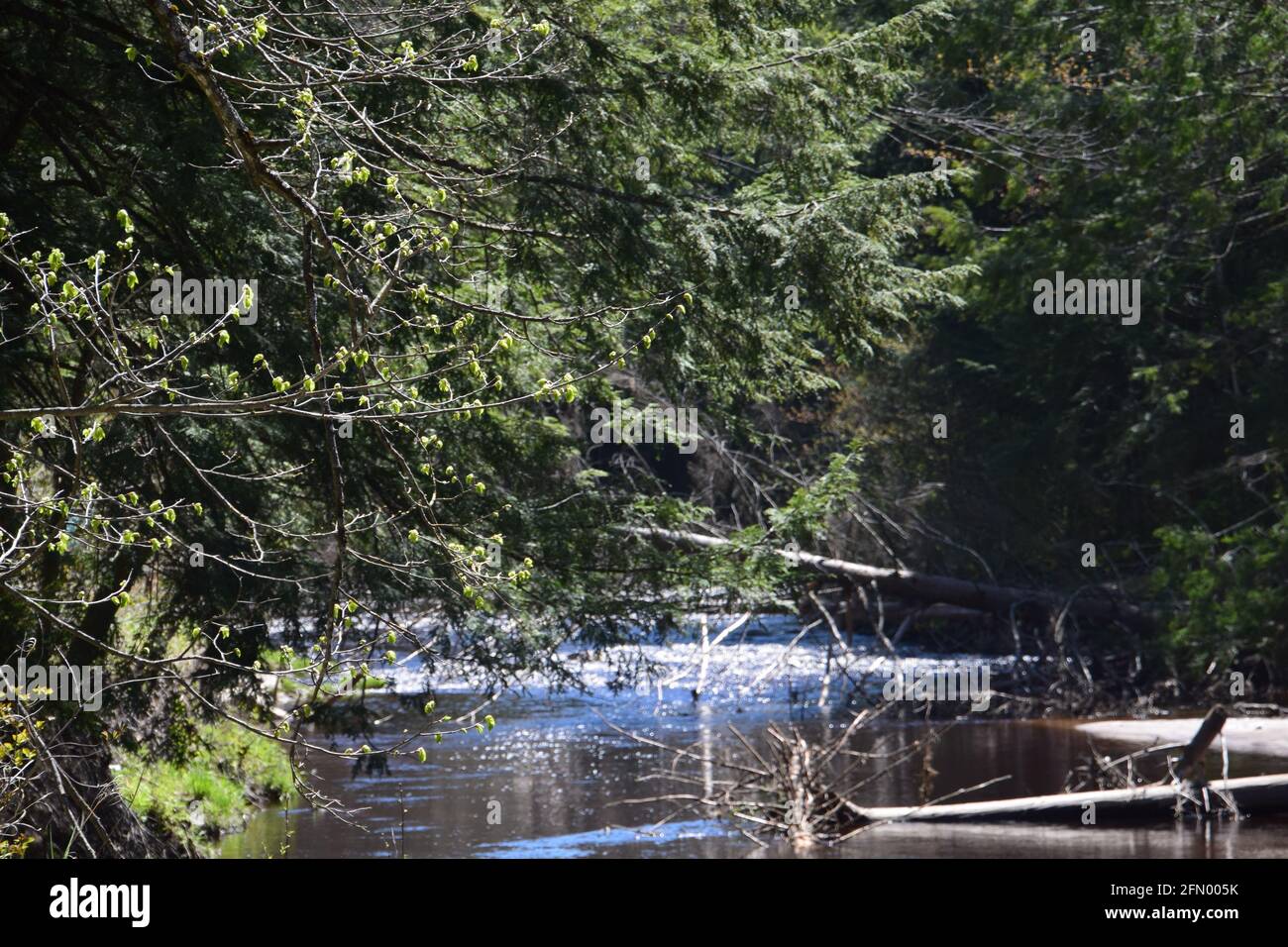 Gentilly river regional park in souther Quebec Stock Photo - Alamy