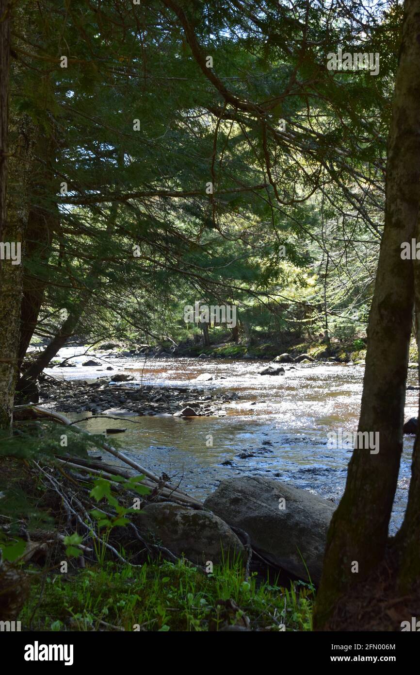 Gentilly river regional park in souther Quebec Stock Photo - Alamy