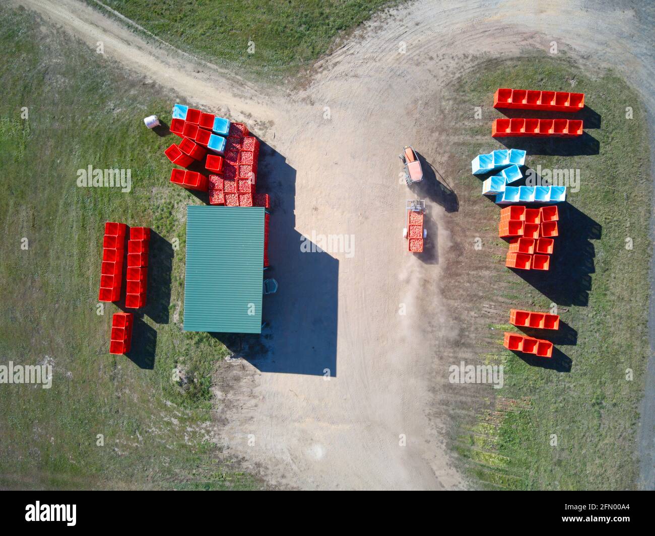 Apple farm aerial view showing apple harvesting using tractor, green ...