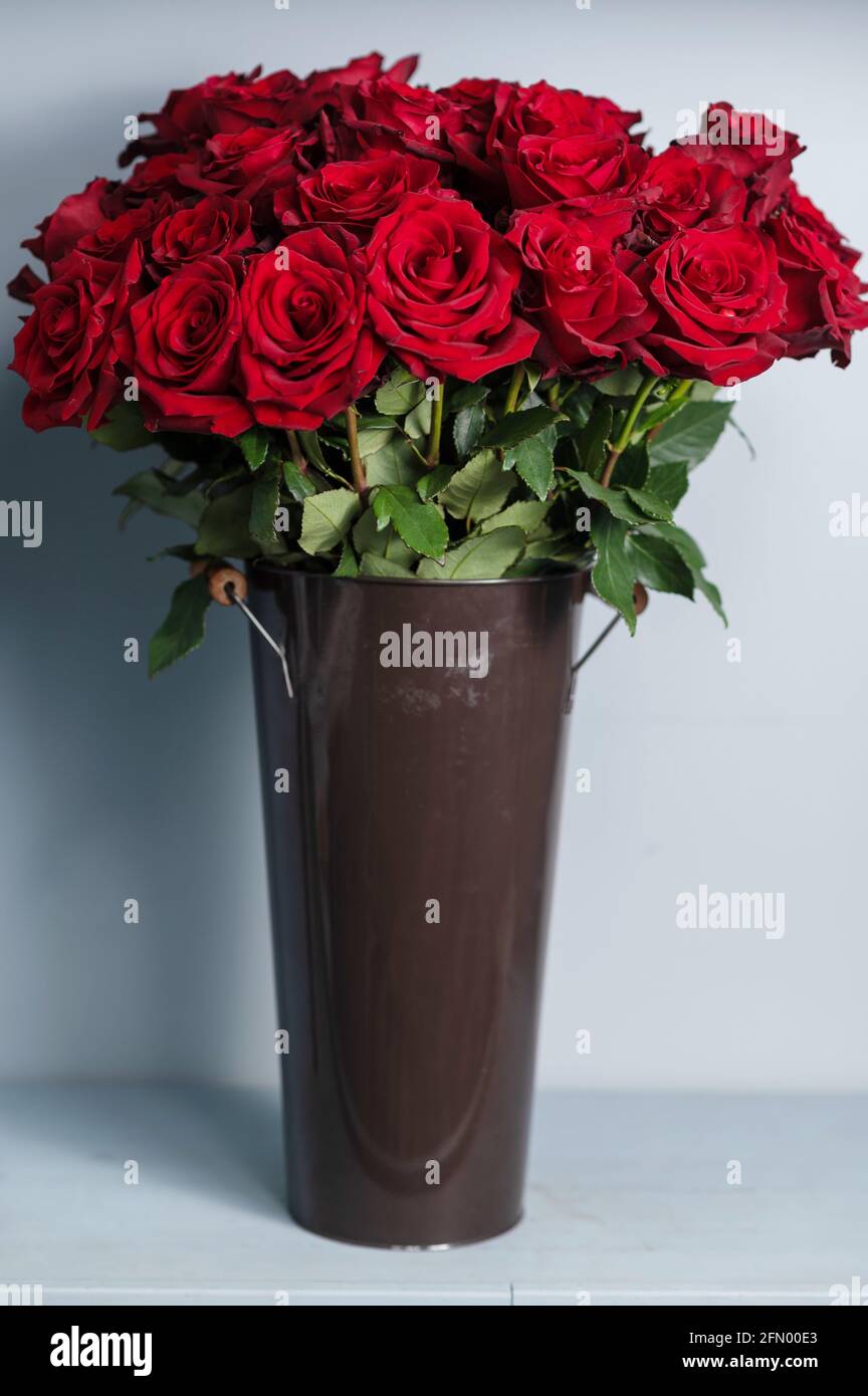 girl holding a huge bouquet of red roses in her hands Stock Photo - Alamy