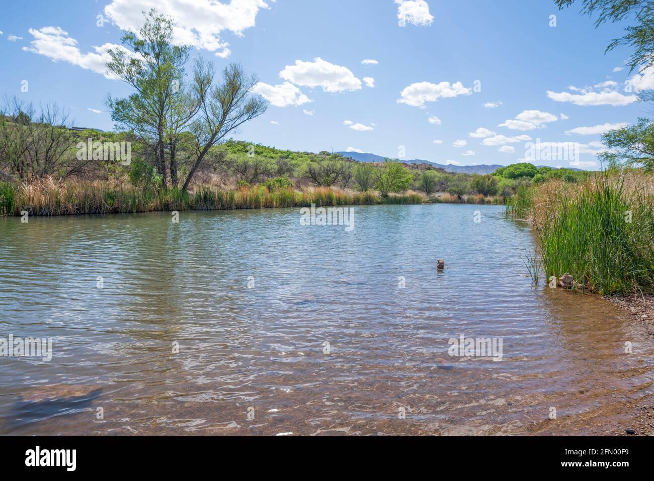 Tuzigoot river access point hi-res stock photography and images - Alamy