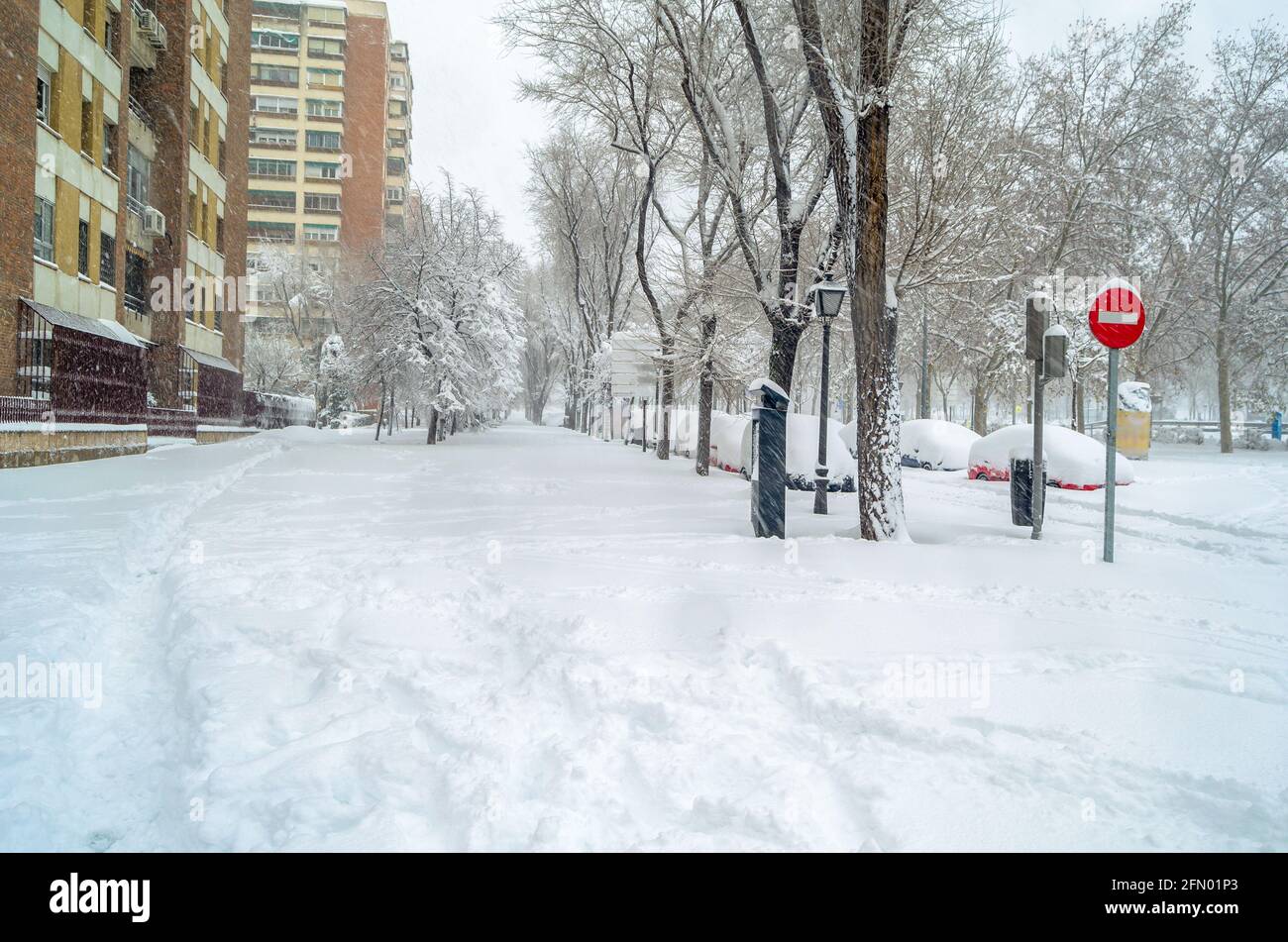 Streets of Madrid blanketed with the heaviest snowfall in 50 years ...