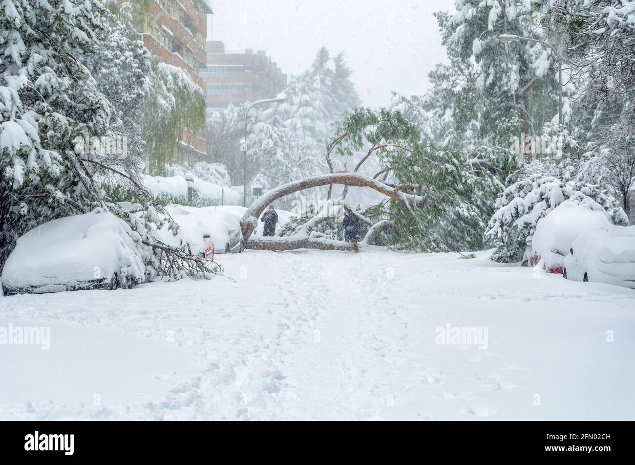 MADRID, SPAIN – JANUARY 9, 2021: Streets of Madrid blanketed with the ...