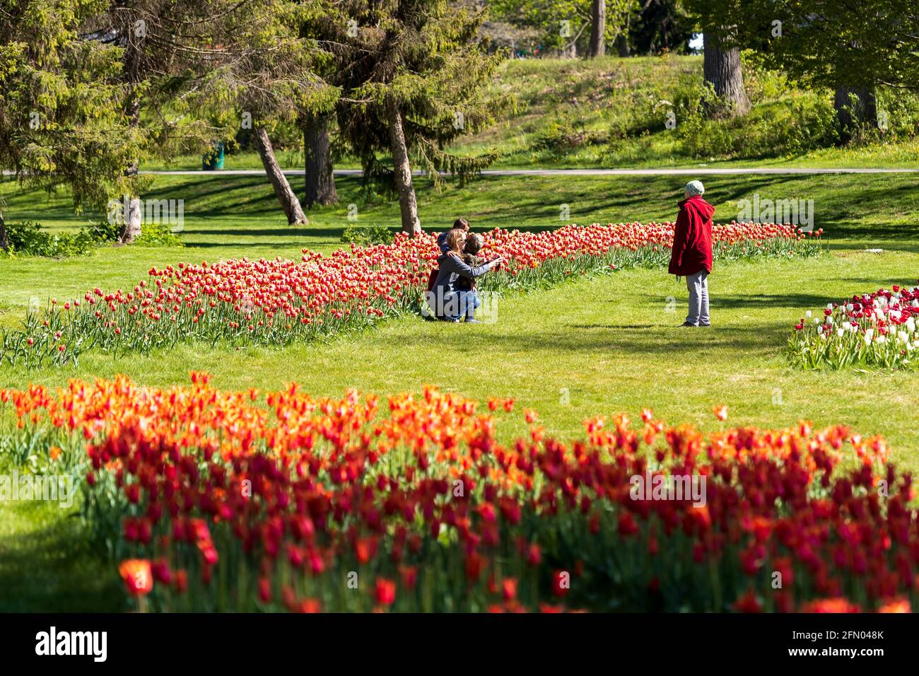 London, Canada - May 12, 2021. Londoners stop, admire and take pictures ...