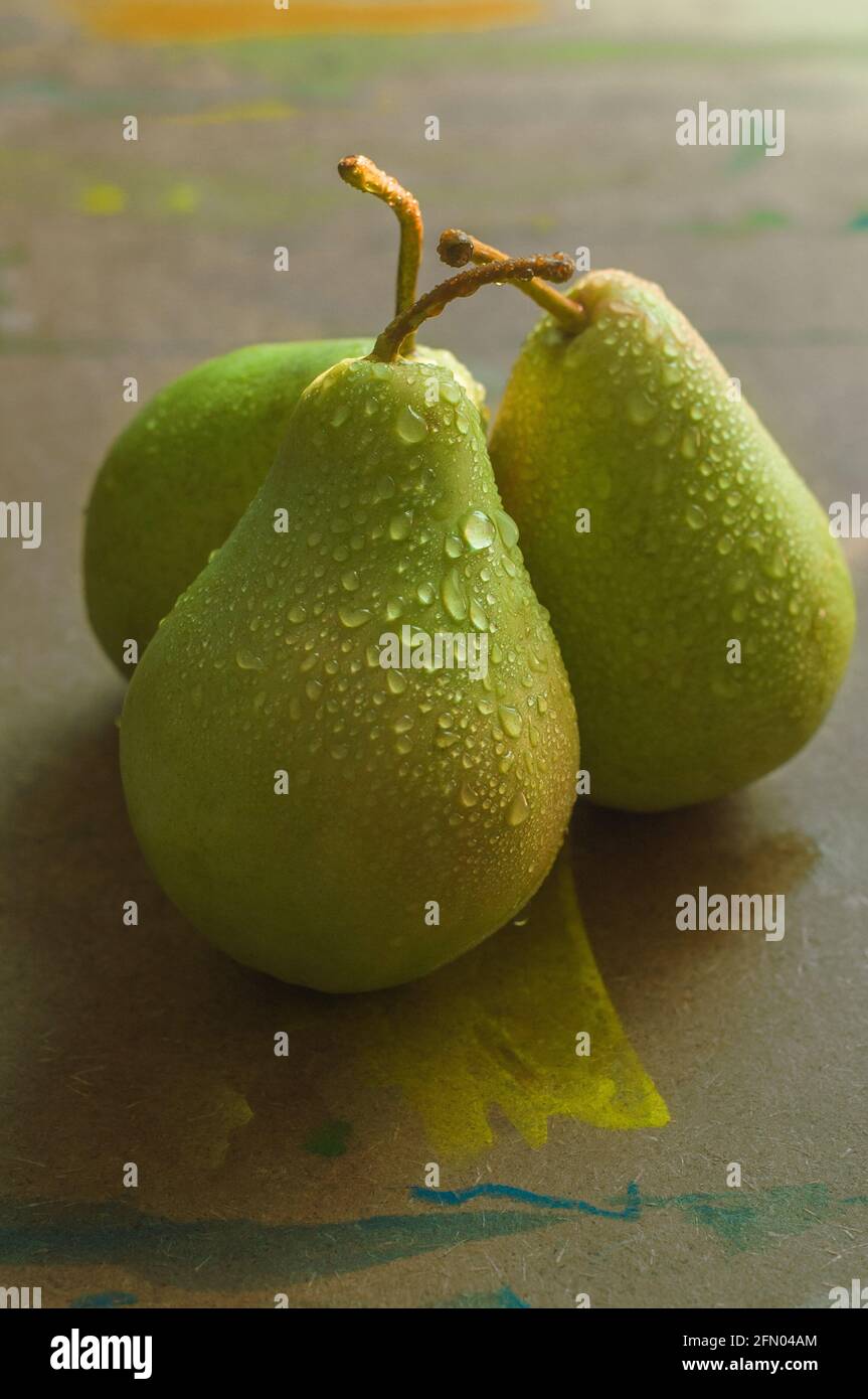 Green yellow pears with red sides lying on a gray board painted with ...