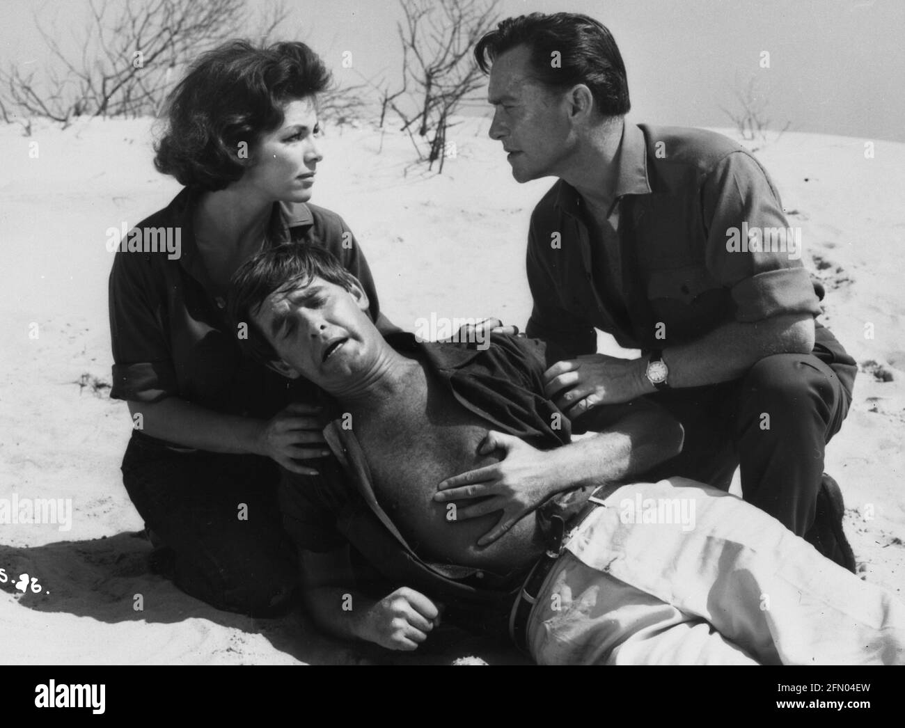 Coast of Skeletons (1964) Richard Todd, Marianne Koch, Derek Nimmo ...