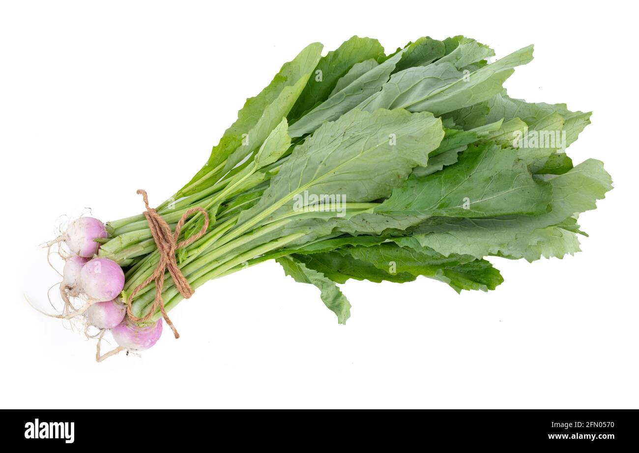 Bunch of turnips with isolated tops on a white background Stock Photo ...