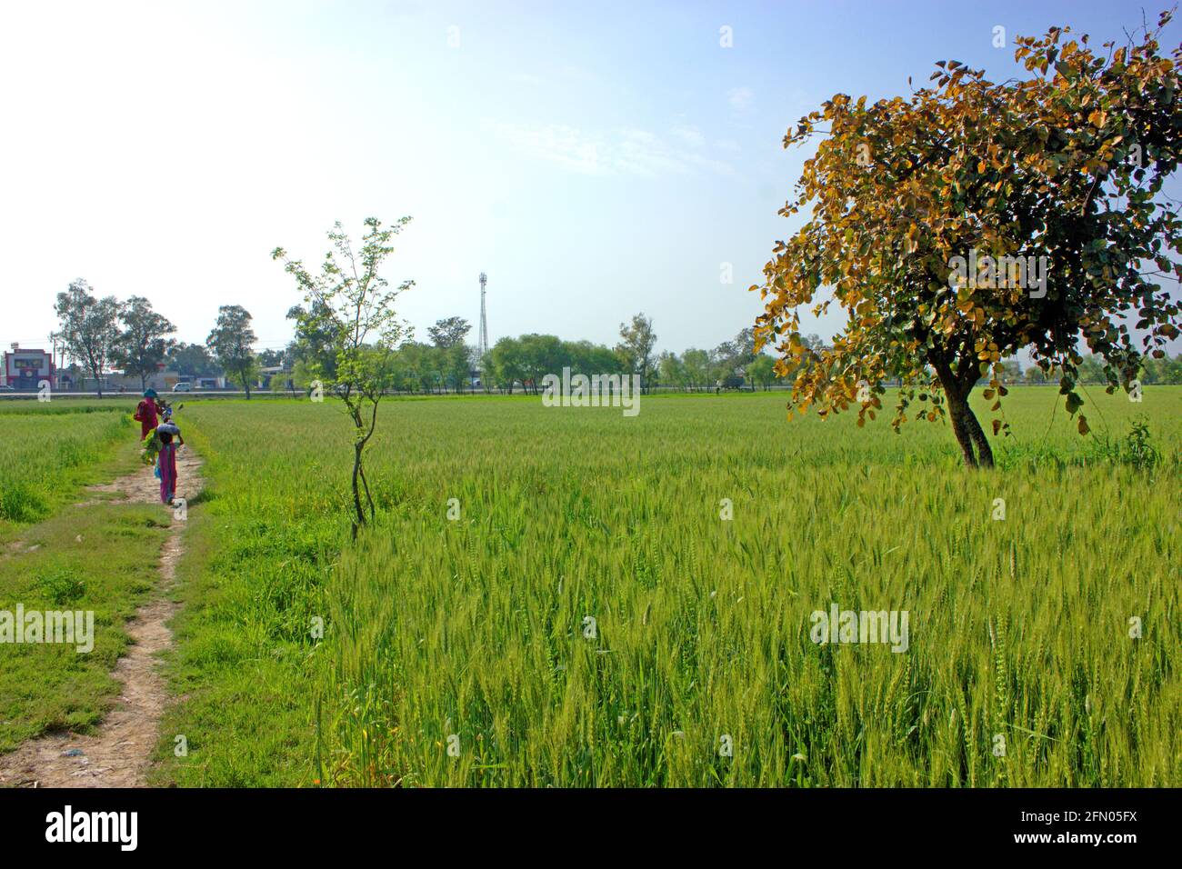 Beautiful landscape with people in traditional clothes walking on a ...
