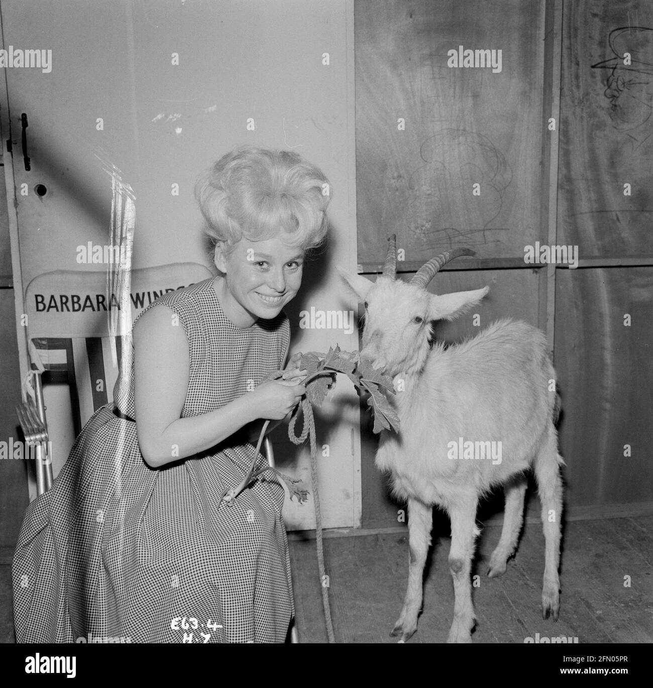 1960s crime scenes hi-res stock photography and images - Alamy