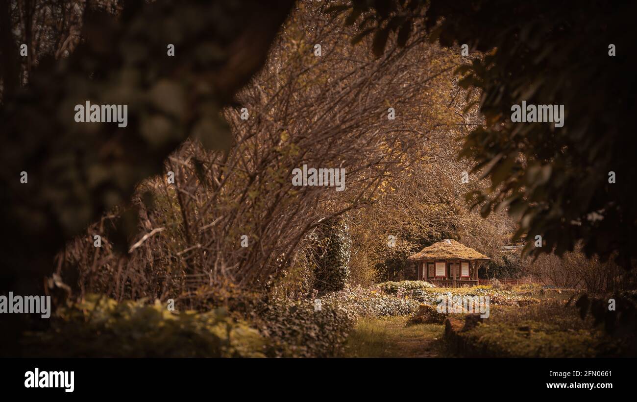Small hut in the forest in autumn Stock Photo - Alamy