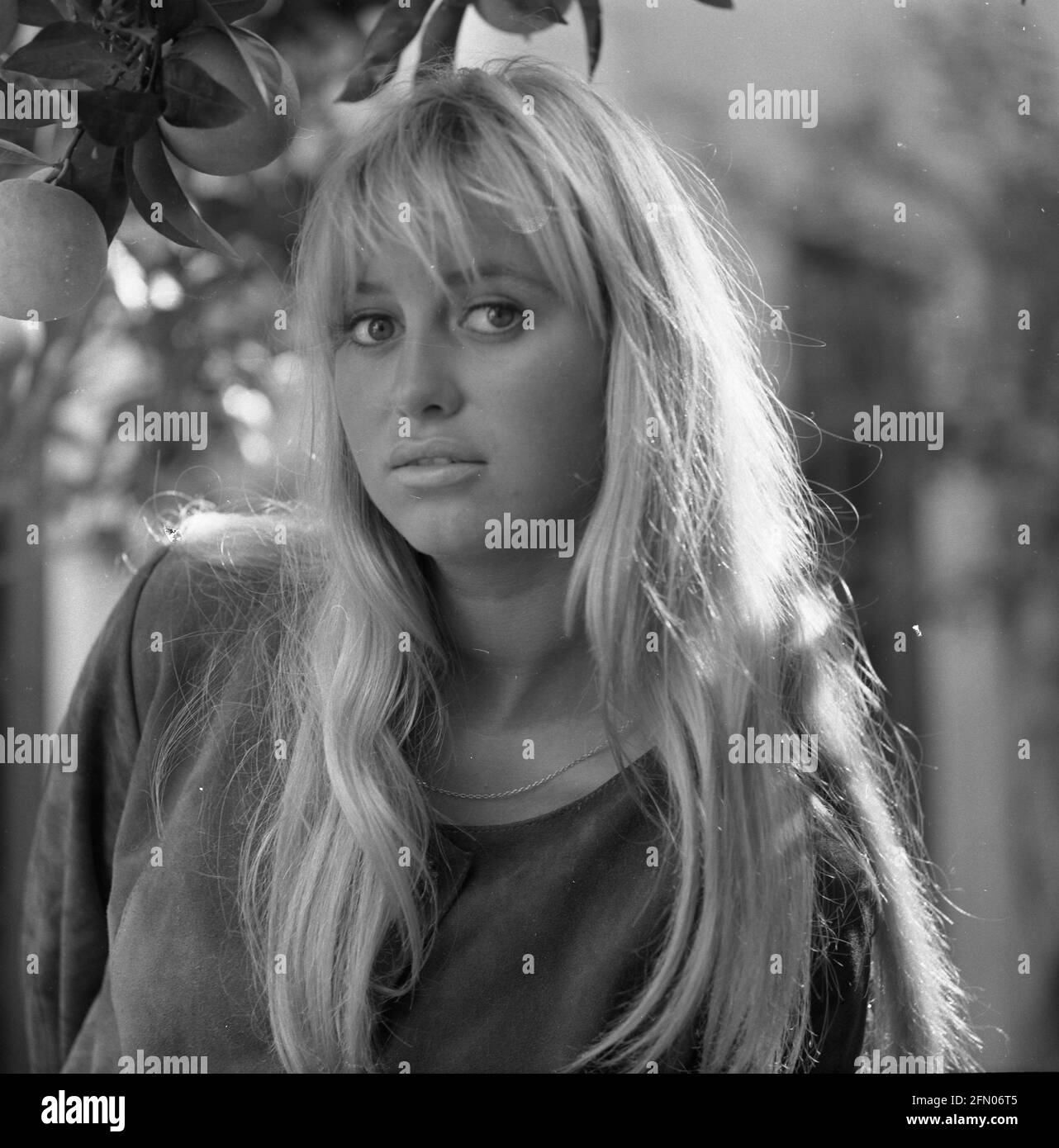 Eyewitness (1970) Susan George, Date: 1970 Stock Photo - Alamy