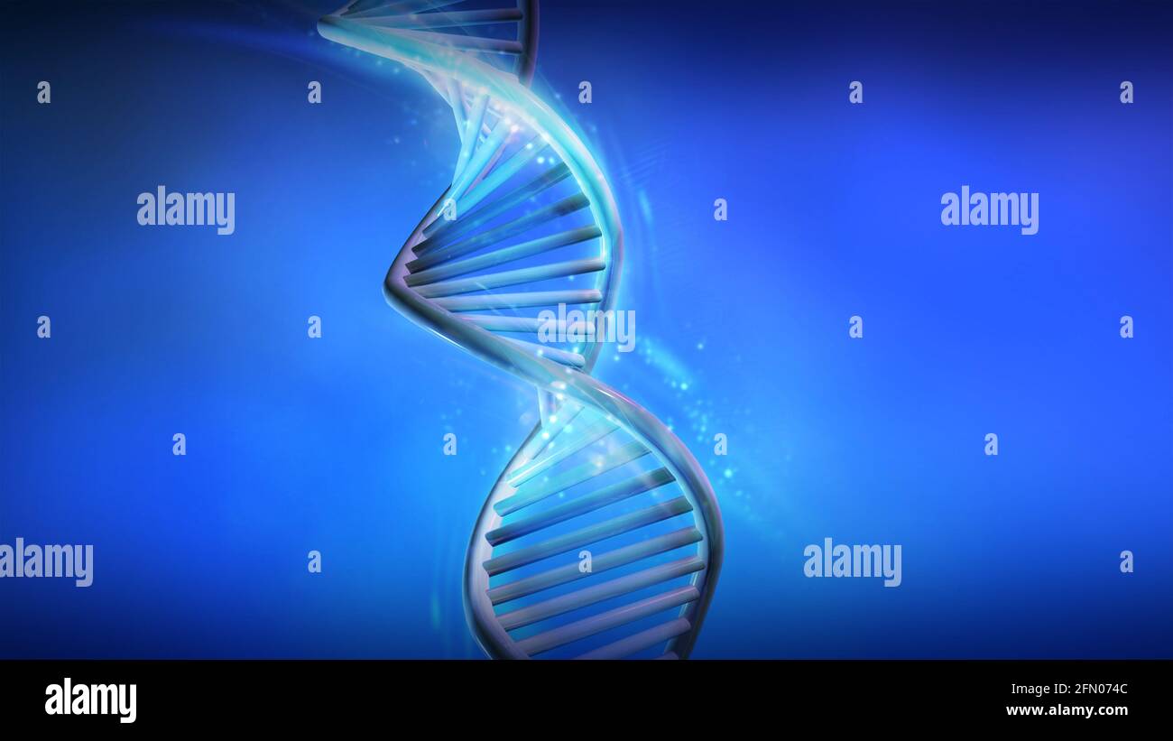 Dna structure model hi-res stock photography and images - Alamy