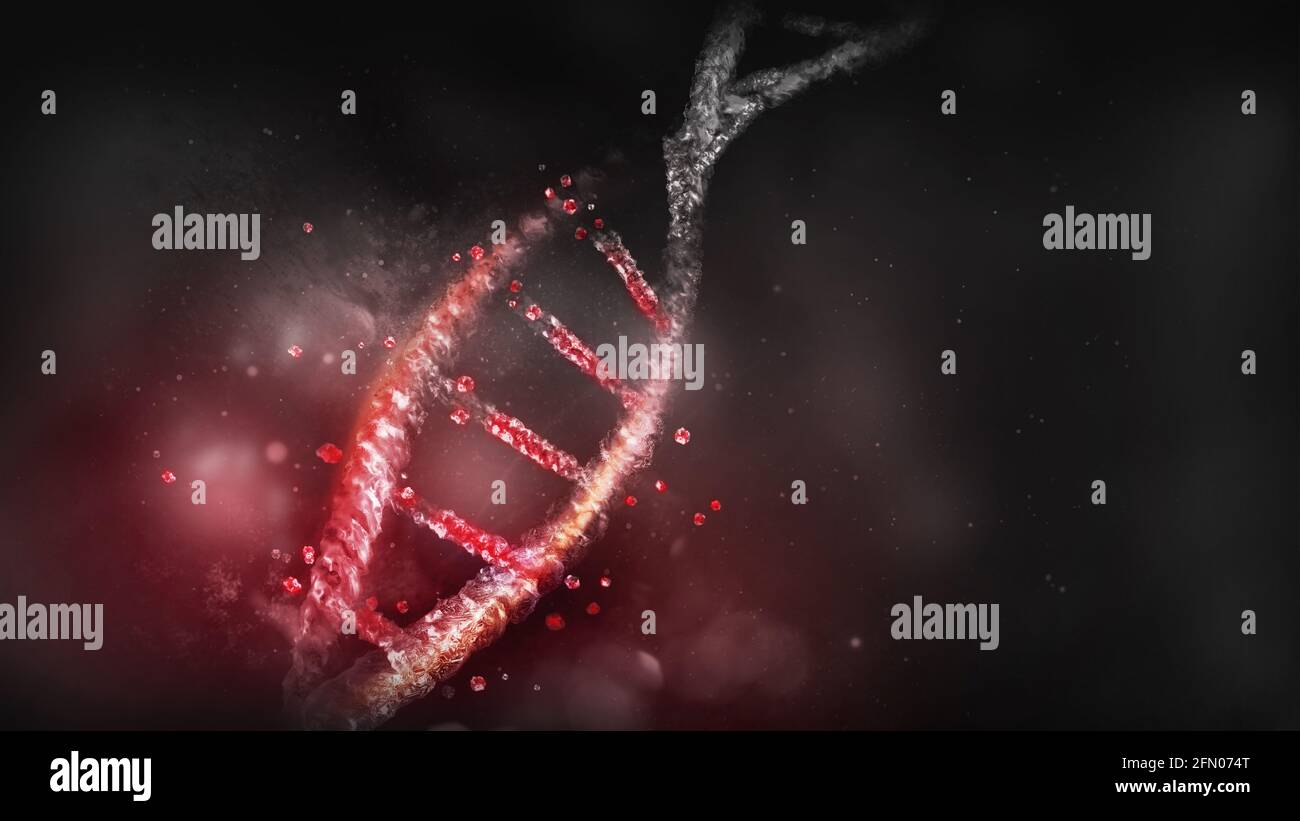 Destruction of the DNA model on a dark background, 3D render Stock ...