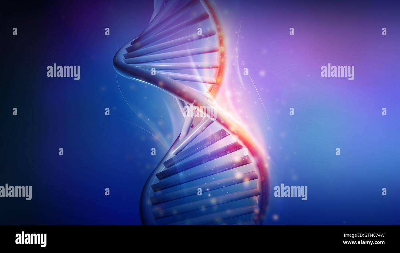 Abstract DNA strands double helix, 3D render Stock Photo - Alamy