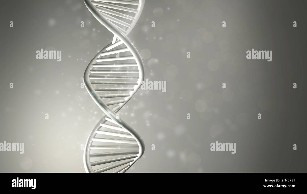 Double-stranded helix DNA model in gray color, 3D render Stock Photo ...