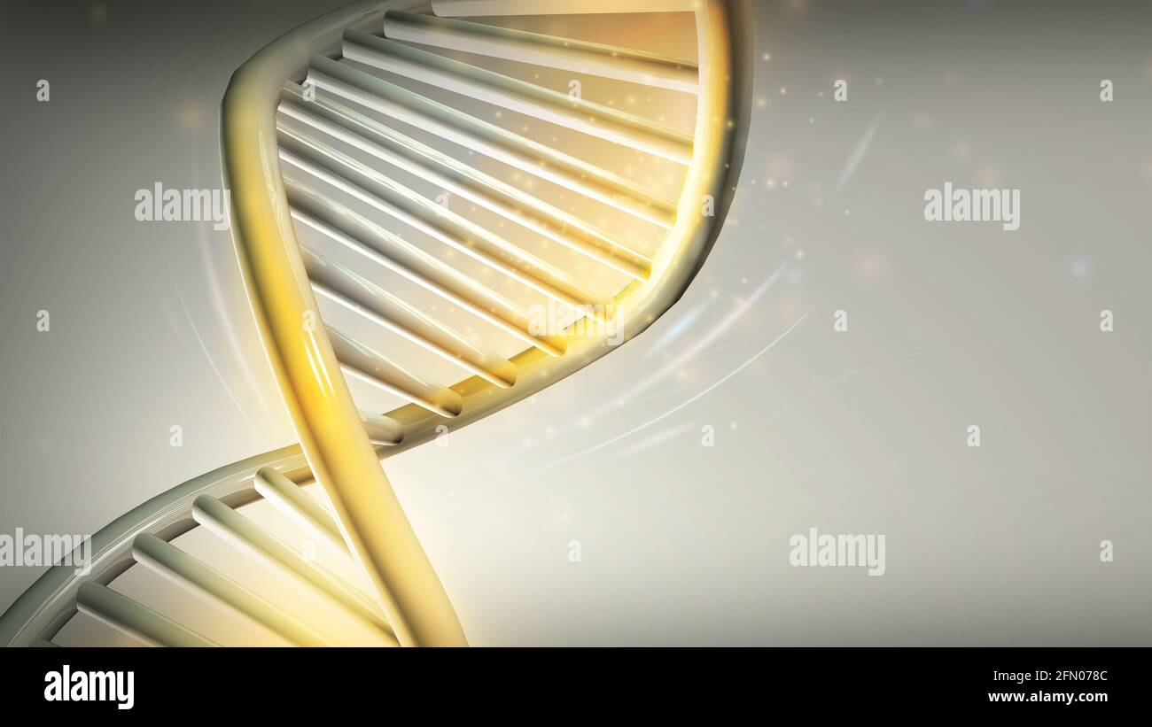 Close-up of a fragment of a DNA helix model, 3D render Stock Photo - Alamy