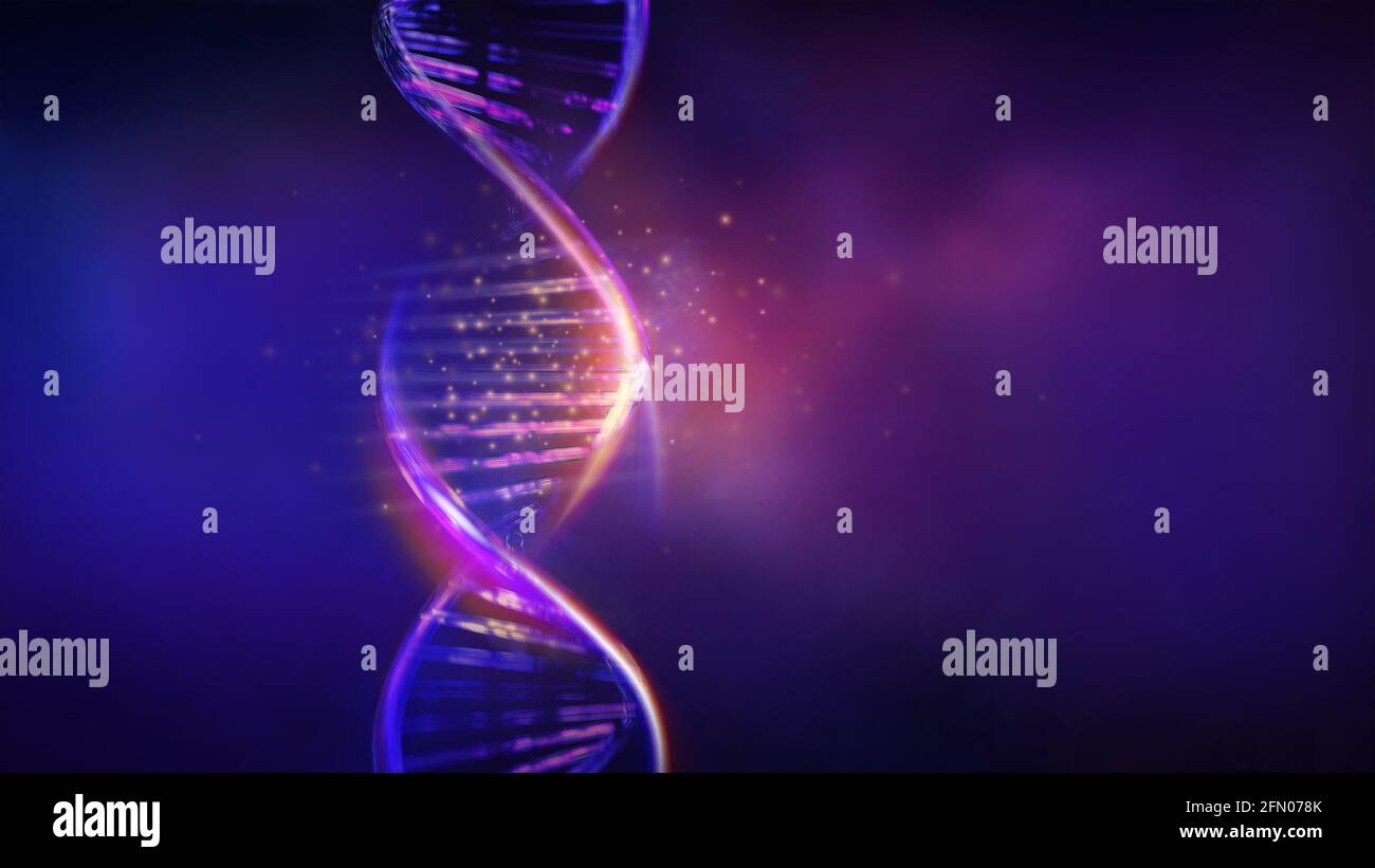 Nucleotides in dna hi-res stock photography and images - Alamy