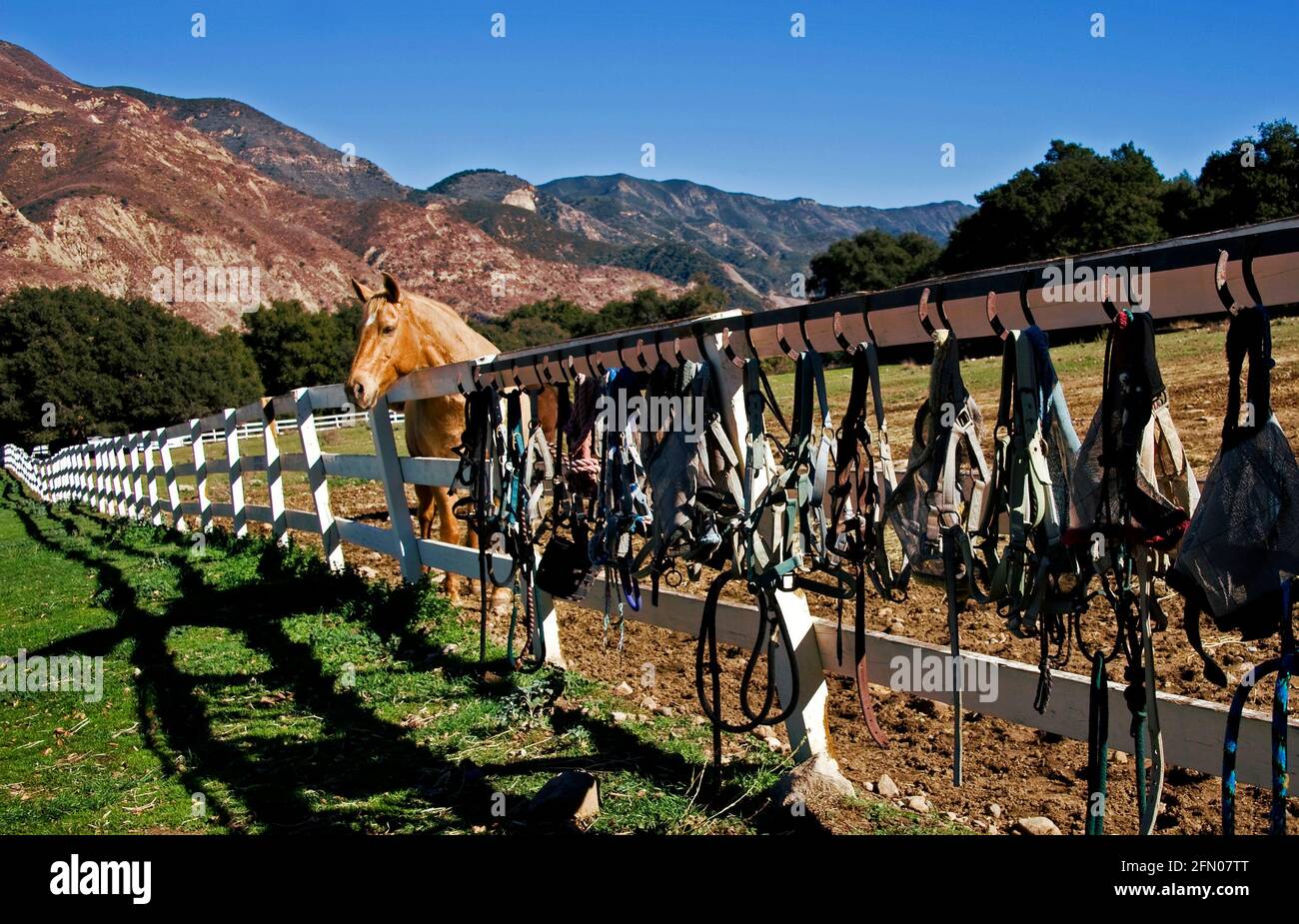 Rancho Oso, Los Padres National Forest, Santa Ynez Valley, California ...