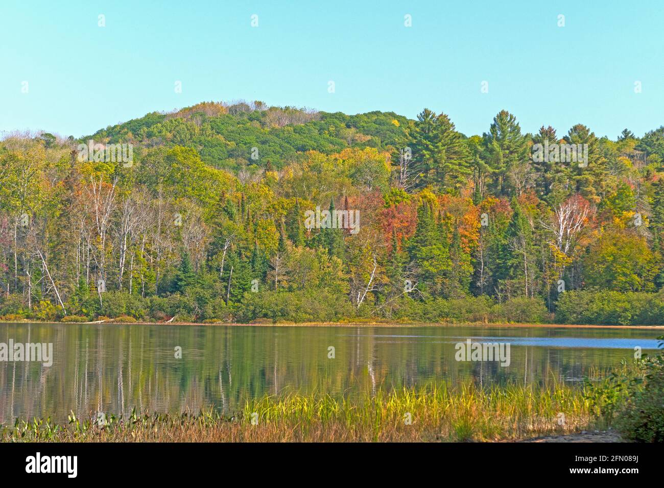 Fall Colors on a Forested Arrowhead Lake in Arrowhead Provincial Park in Ontario, Canada Stock ...