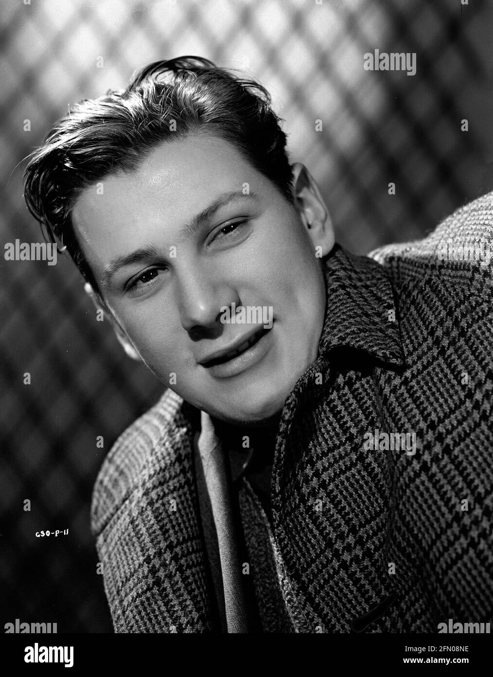 Peter and his goose hi-res stock photography and images - Alamy