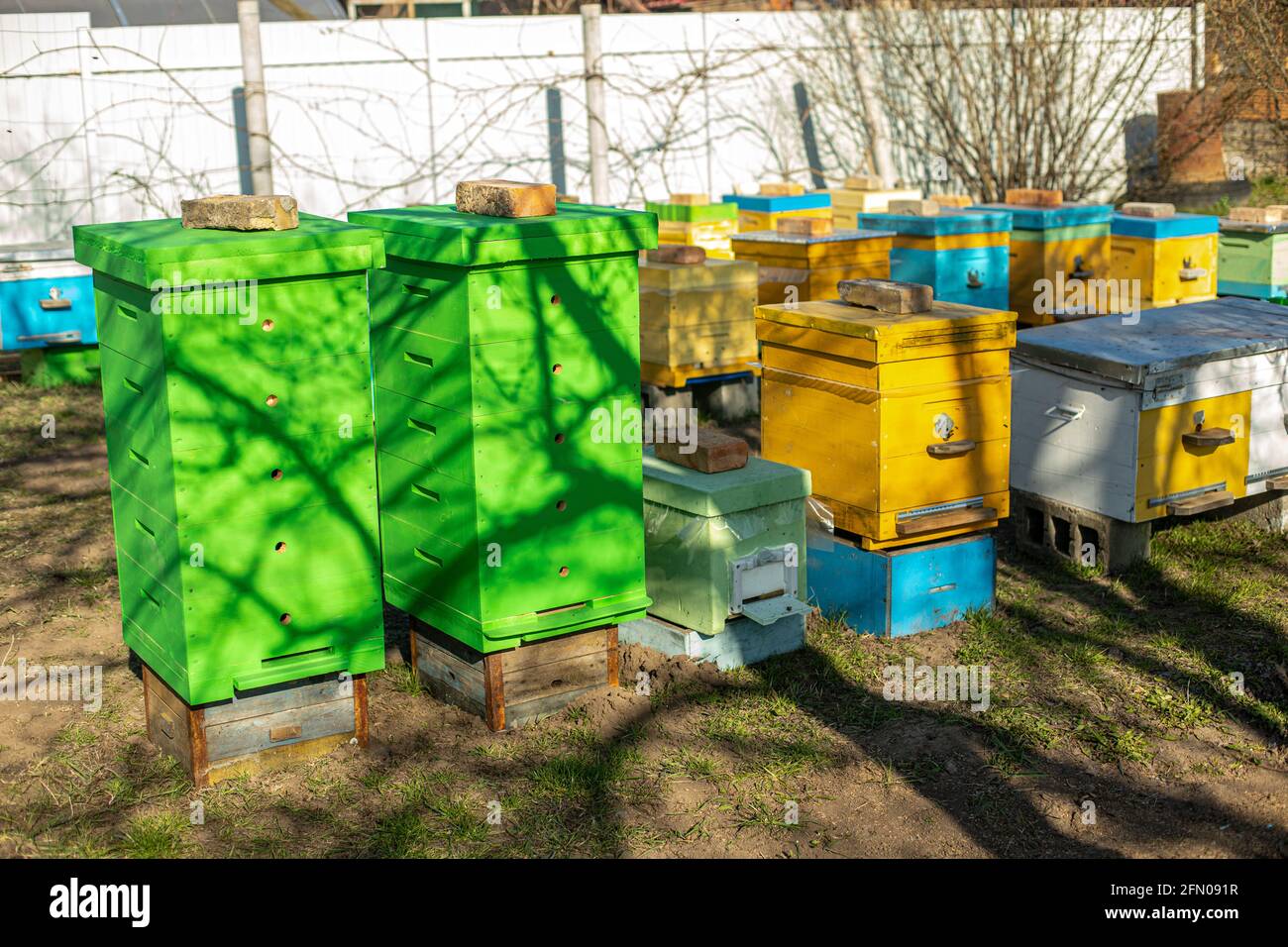 Bee apiary in the courtyard of a rural house, bee honey houses. Bees ...