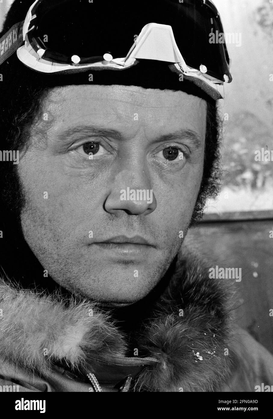 Mr Forbush and the Penguins, 1971 Film Stock Photo - Alamy