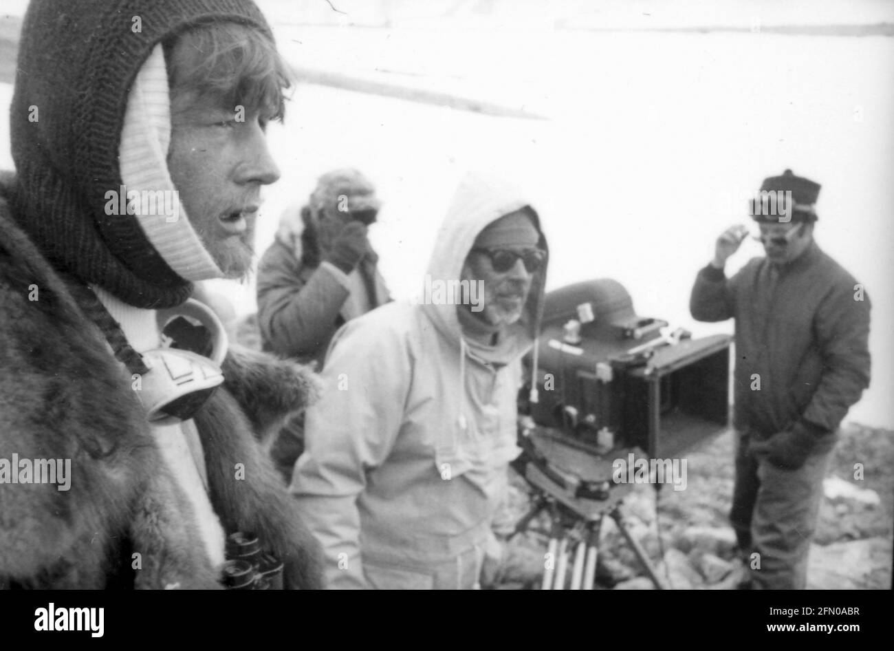 Mr Forbush and the Penguins, 1971, Film Stock Photo - Alamy