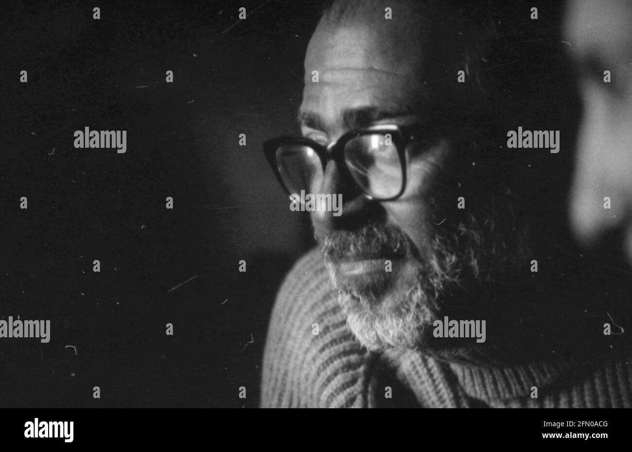 Mr forbush penguins hi-res stock photography and images - Alamy