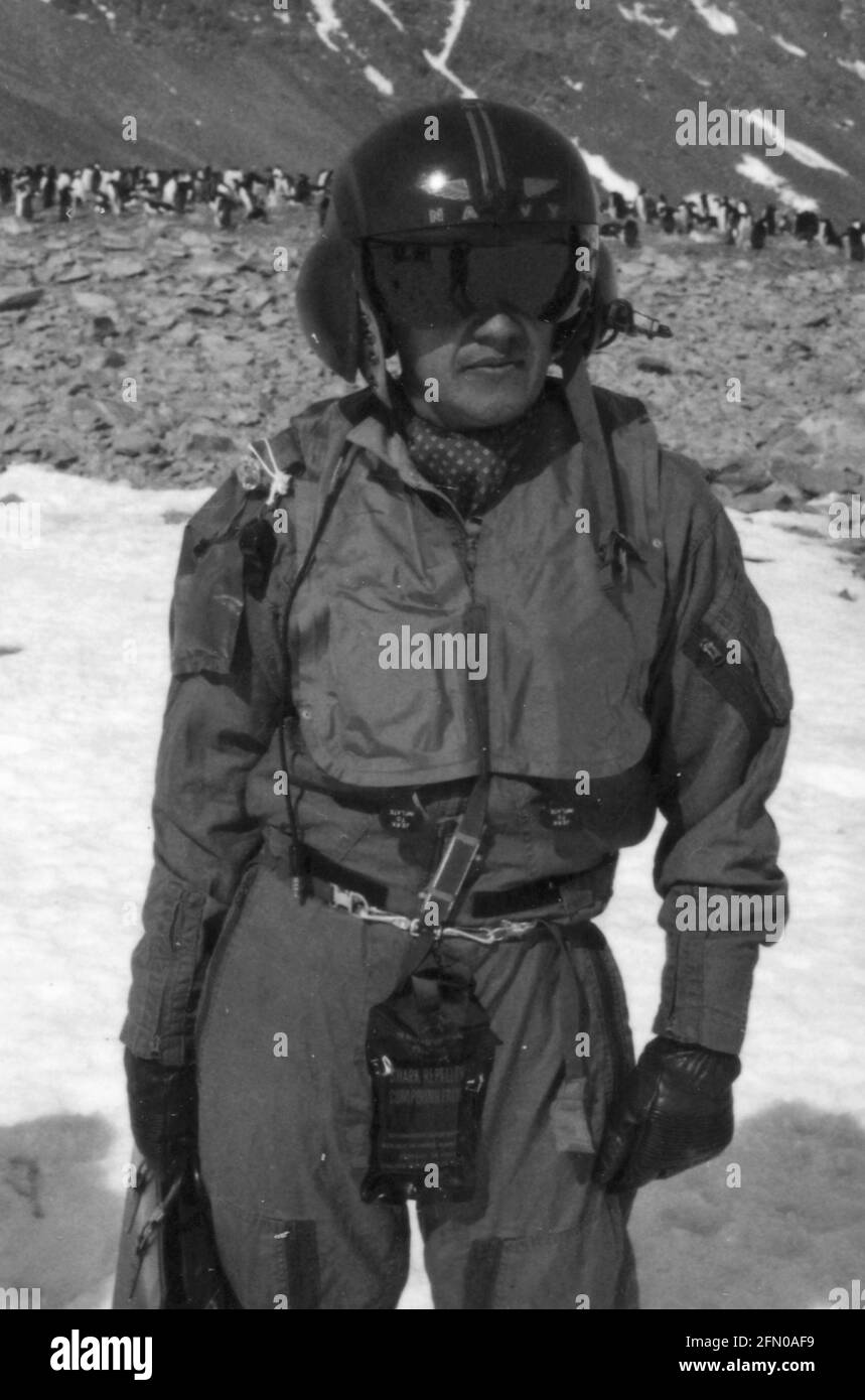 Mr forbush penguins hi-res stock photography and images - Alamy